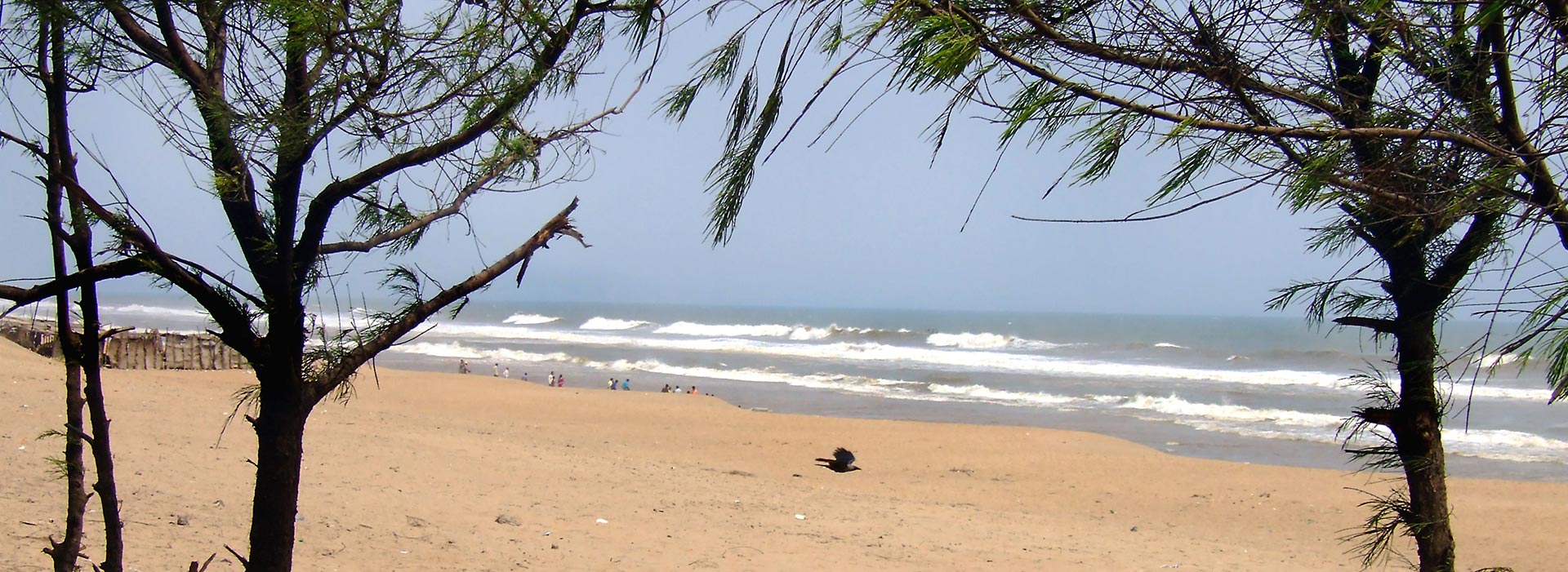 Odisha Tourism : Chandrabhaga