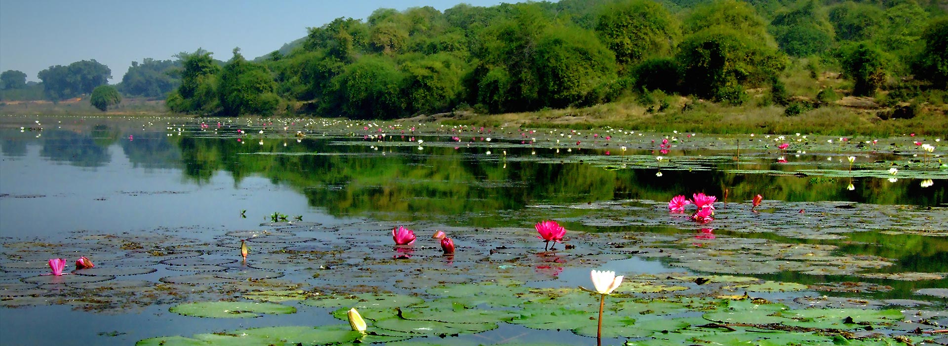 Odisha Tourism : Tampara